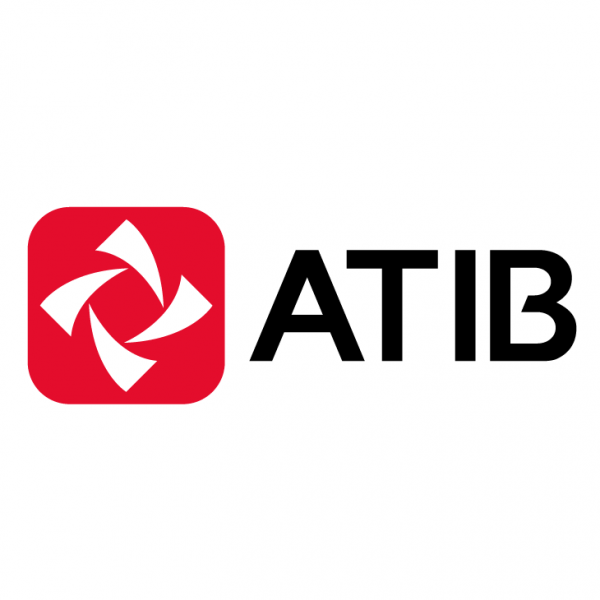 سيرة مهنية - علي الطويل